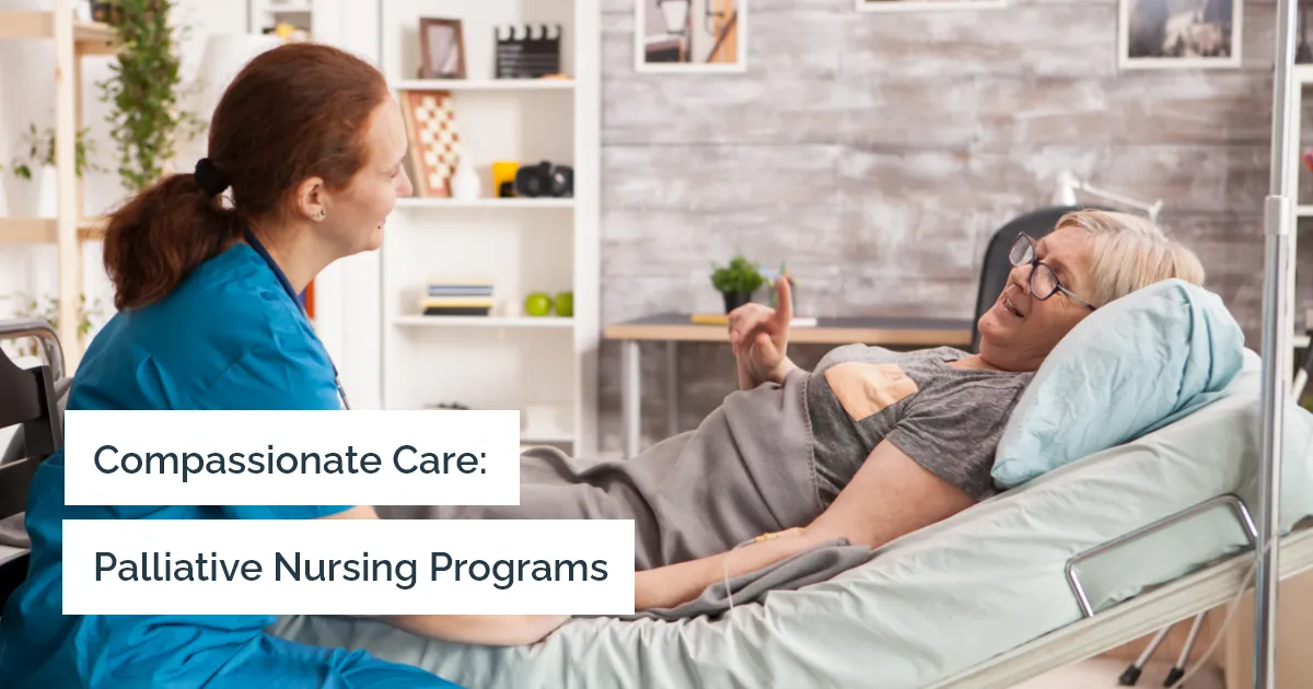 How Does Palliative Care nursing program prepare healthcare professionals?